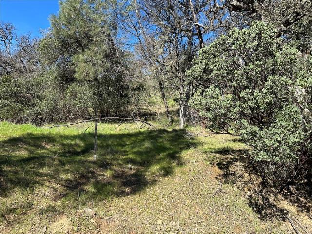 17509 Cache Creek