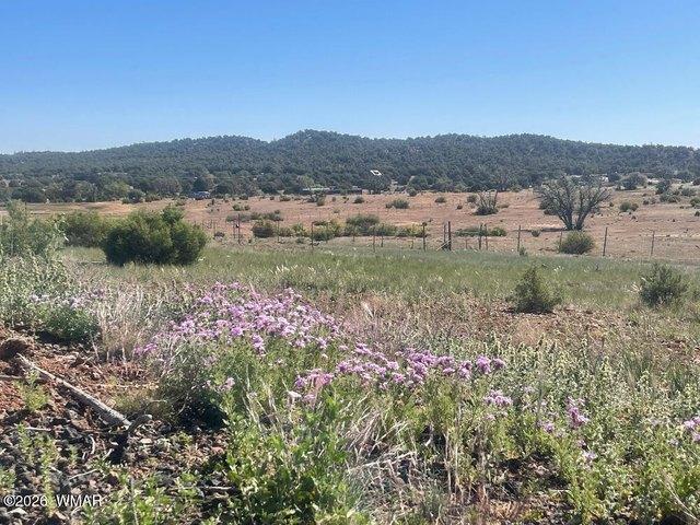 1751 Forest Service Rd # 163, Clay Springs, AZ 85923