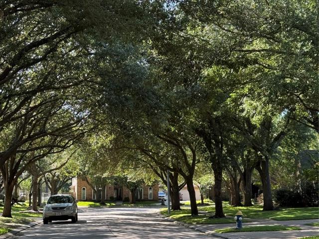 17522 Whispering Star Court