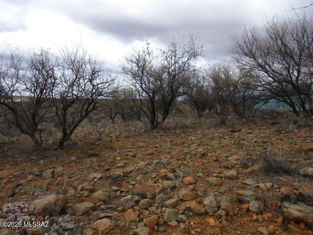 1752 Circulo Badajada Unit 119, Rio Rico, AZ 85648