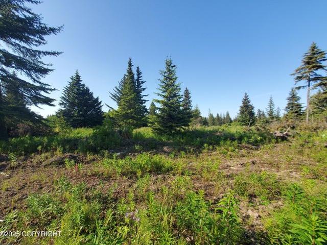 17537 Chefornak St, Ninilchik, AK 99639