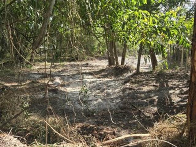 1753 nd Rd N, The Acreage, FL 33470