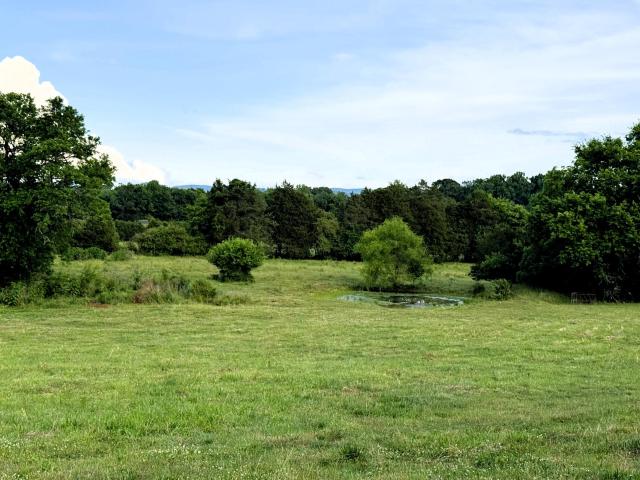 175 County Road 571