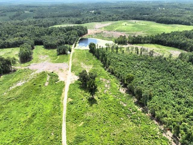 175 Ac Tomlinson Rd, Victoria, VA 23974