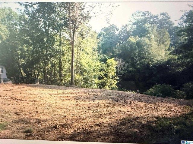175 Glaze Creek Rd Lot 21, Bessemer, AL 35023