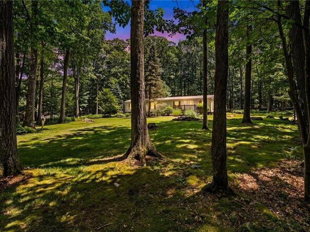 175 Dons Rd, Fort Hill, PA 15540