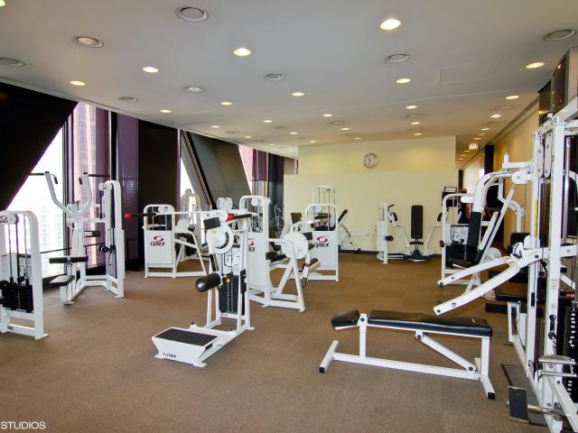 175 e delaware place # 4901
