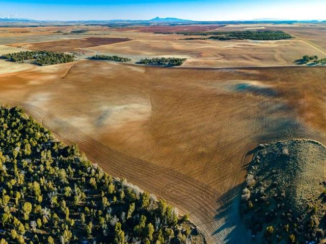 175 E Lockerby Rd, Monticello, UT 84535