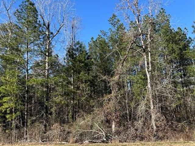 175 Exploration Rd, Willis, TX 77378
