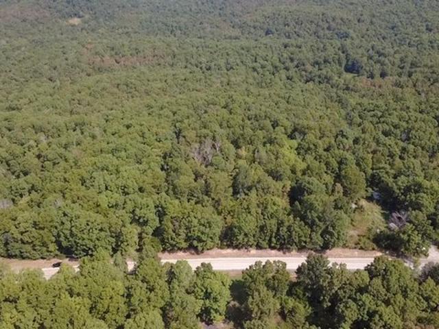 175 Highway, Hardy, AR 72542