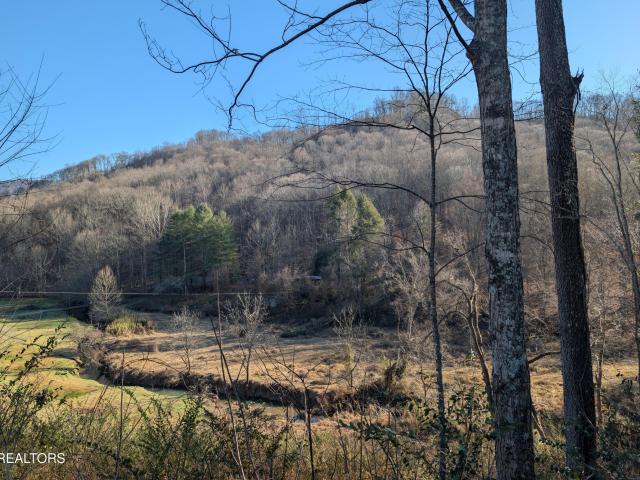 175 John Partin Rd