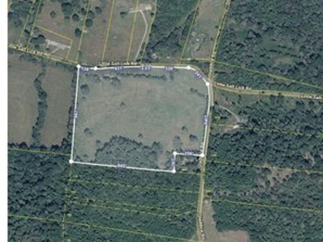 175 Little Salt Lick Rd, Carthage, TN 37030