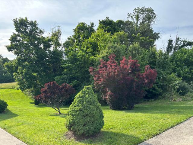 175 Maple Ridge Street # lot 24