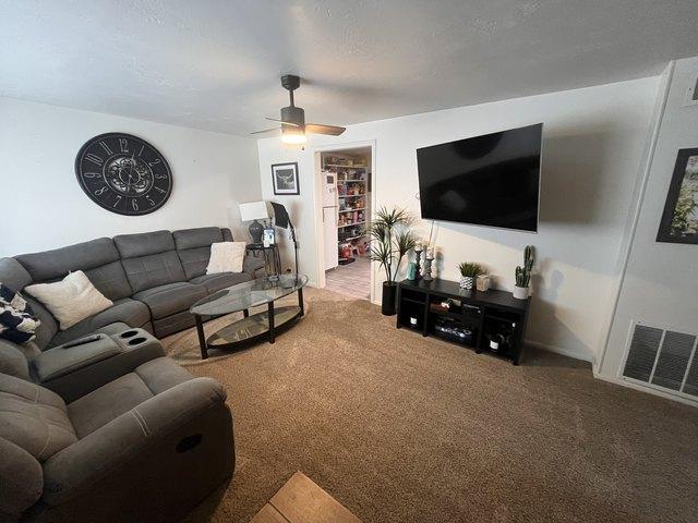 175 N 700 E, Springville, UT 84663