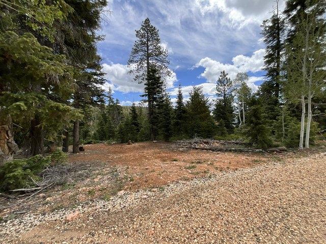 175 S Lupin Ln, Duck Creek, UT 84762