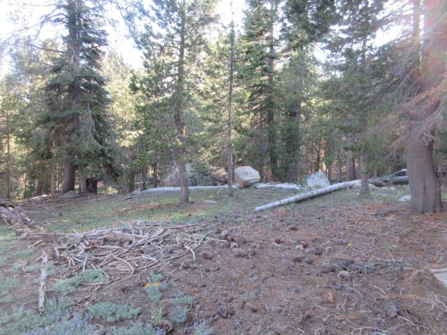175 Silver Tip Dr, Unit SHERMAN ACRES LOT 41, Arnold, CA 95223 | MLS #225601