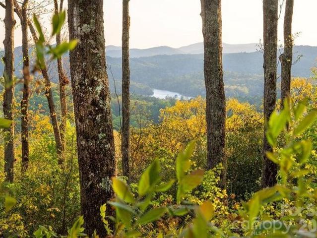 175 Skyview Rd Unit L5, Lake Toxaway, NC 28747