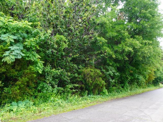 175 Stewart Lake Road