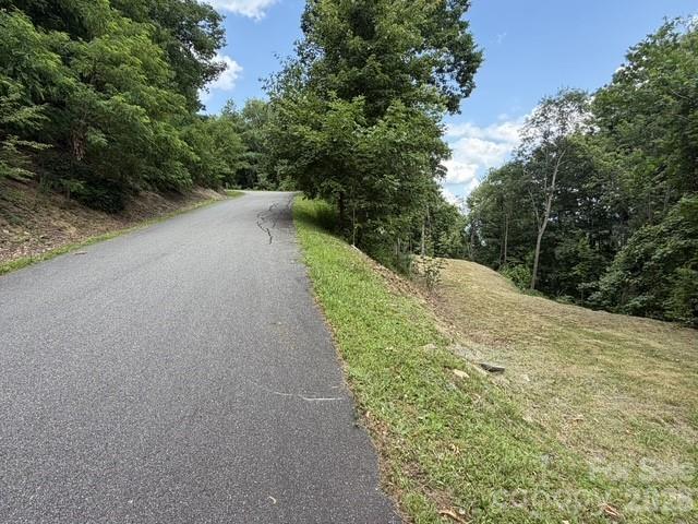 175 Renegade Ridge