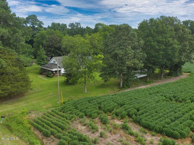 175 Union Hall Rd, Hertford, NC 27944 | MLS #100523