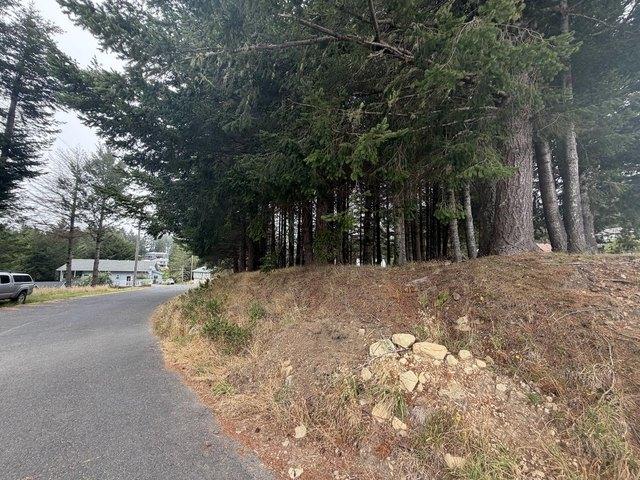 175 Vista Rd, Shelter Cove, CA 95589