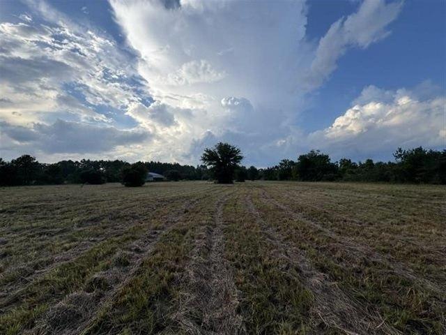 175 Yellott Ln, Dequincy, LA 70633