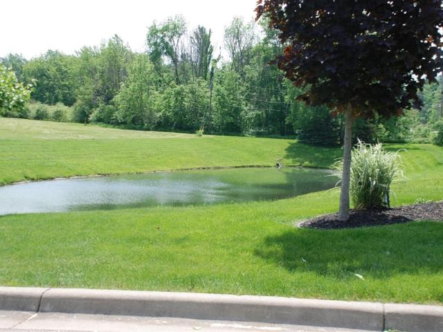 1764 Fox Ridge Trail