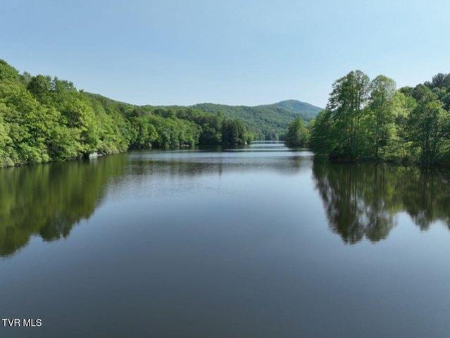 1764 Ripshin Mountain Rd, Roan Mountain, TN 37687