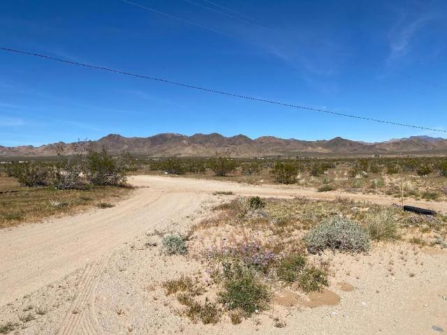 17651 Cattleman Road