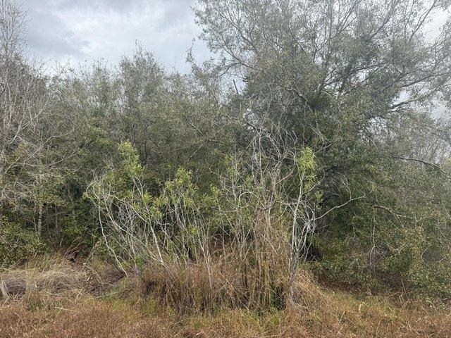 17667 NW 254th St, Okeechobee, FL 34972