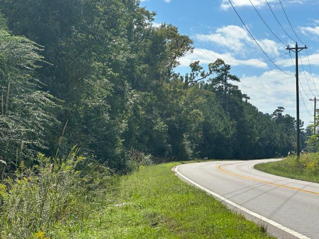 1766 Jedburg Rd, Summerville, SC 29486 | MLS #24025