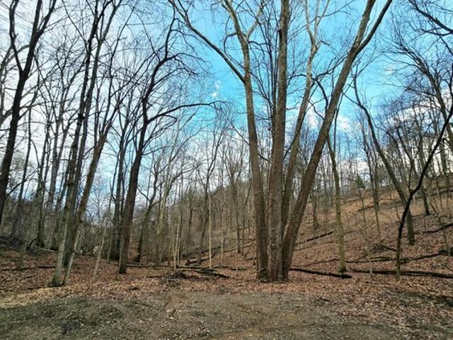1767 Mohican Ct, Hideaway Hills, OH 43107