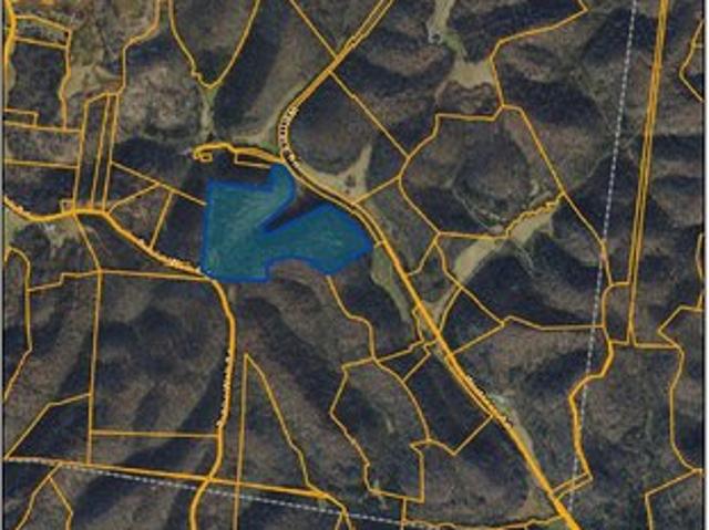 1767 Public Well Rd, Pleasant Shade, TN 37145