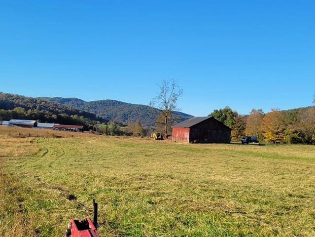 1768 Wilder Hwy