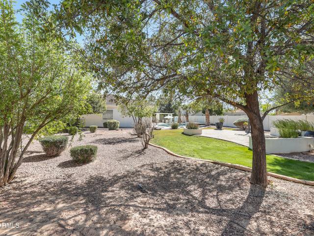 1769 W Tonto Dr, Chandler, AZ 85248 | MLS #7017
