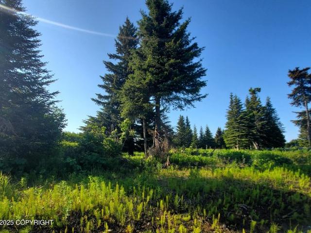 17619 Chefornak St, Ninilchik, AK 99639