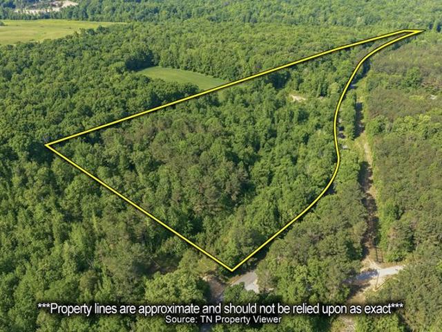 1761 Pugh Rd, Holladay, TN 38341