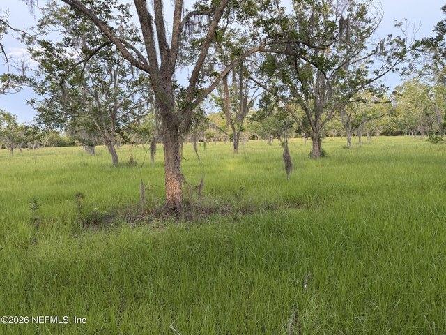 17620 NE 77th Ln, Hawthorne, FL 32640