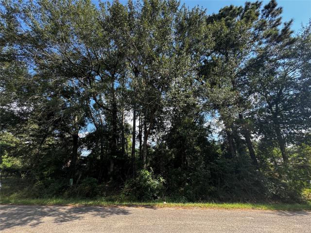 17625 spanish oak