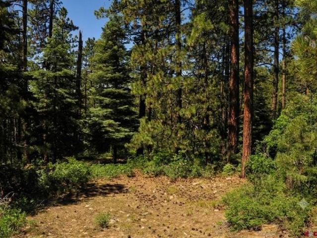 176 Big Timber Dr, Bayfield, CO 81122