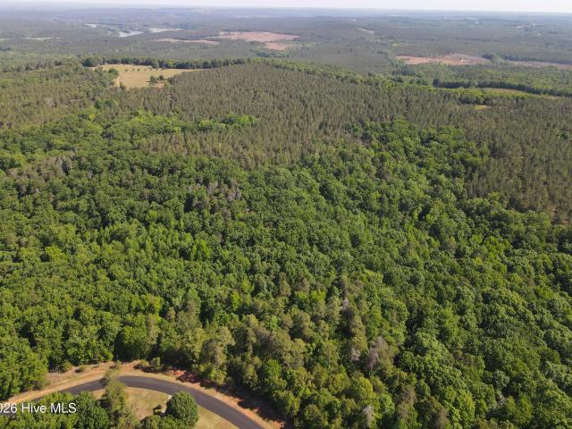 176 Lakeview Trail, Rockingham, NC 28379 | MLS #100542