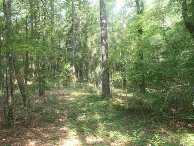 176 Seagull Rd, Cochran, GA 31014
