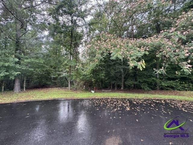 176 Waters Pt, Lizella, GA 31052