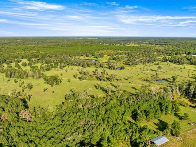17748 N Highway 329, Reddick, FL 32686 | MLS #OM710603