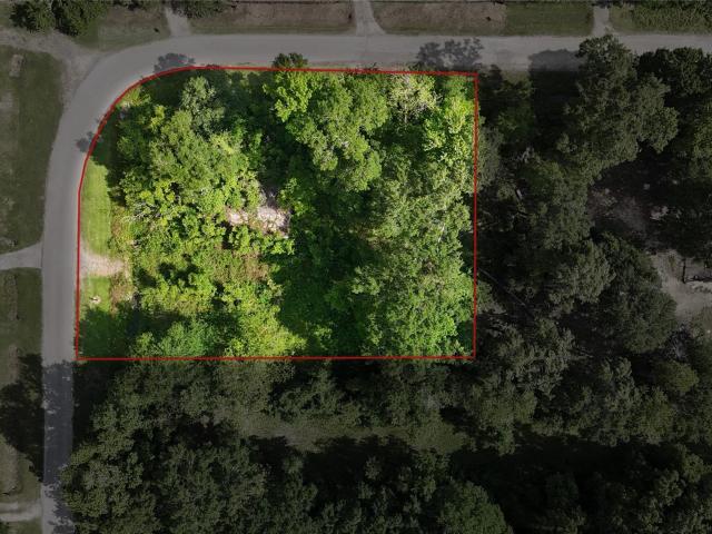 1774 County Road 1333