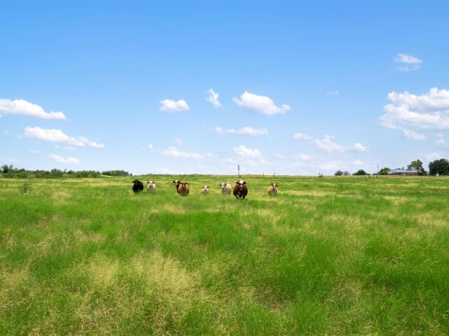 1775 County Road 305 Rd