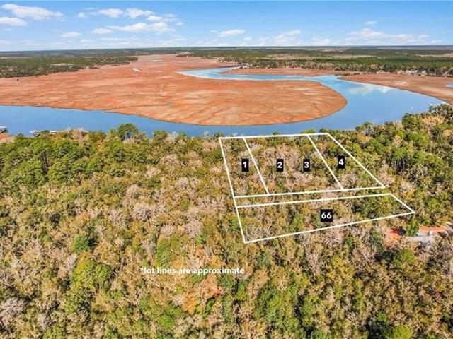 1775 Delegal Dr NE, Townsend, GA 31331