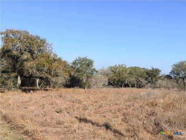 1776 FM 1351, Goliad, TX 77963