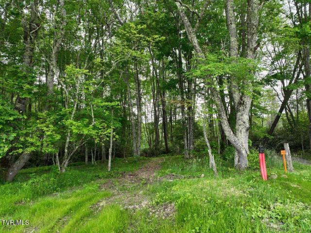 1776 Ripshin Mountain Road