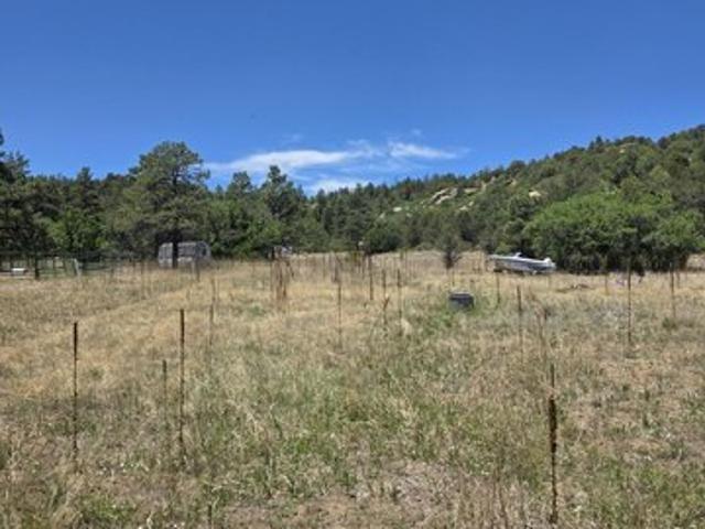 17775 County Road 51, Boncarbo, CO 81024